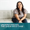 Understanding the SHEIN RICO Case - The Legalpreneur